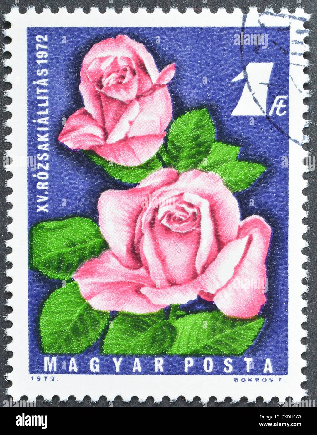 Cancelled postage stamp printed by Hungary, that shows Rose flower 15th ...
