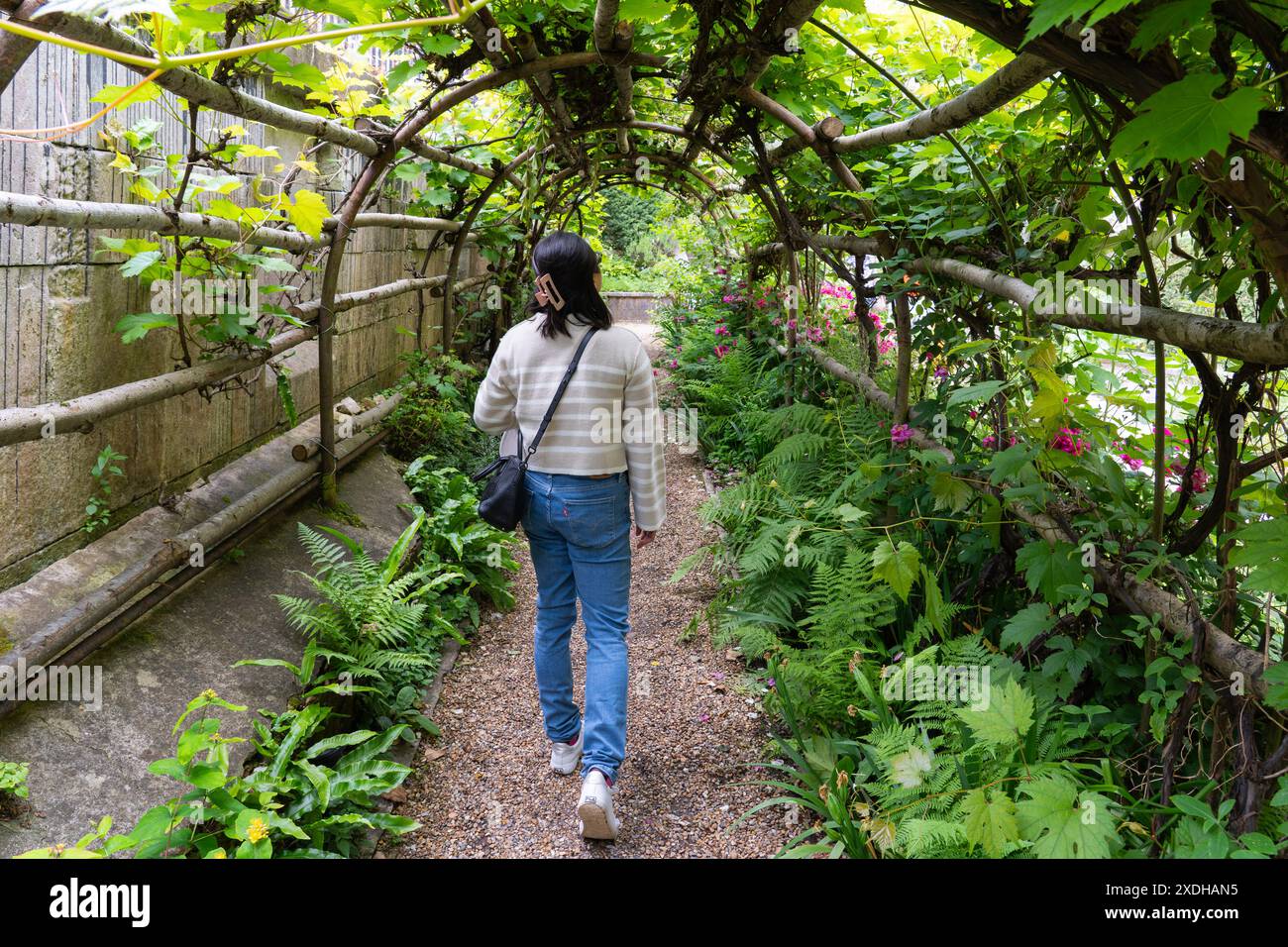 Garden tunnel hi-res stock photography and images - Alamy