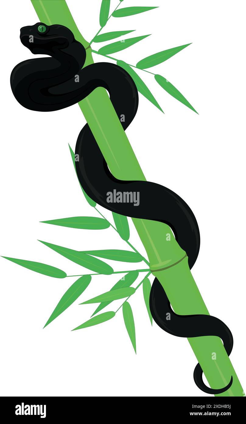 Exotic stem Stock Vector Images - Alamy