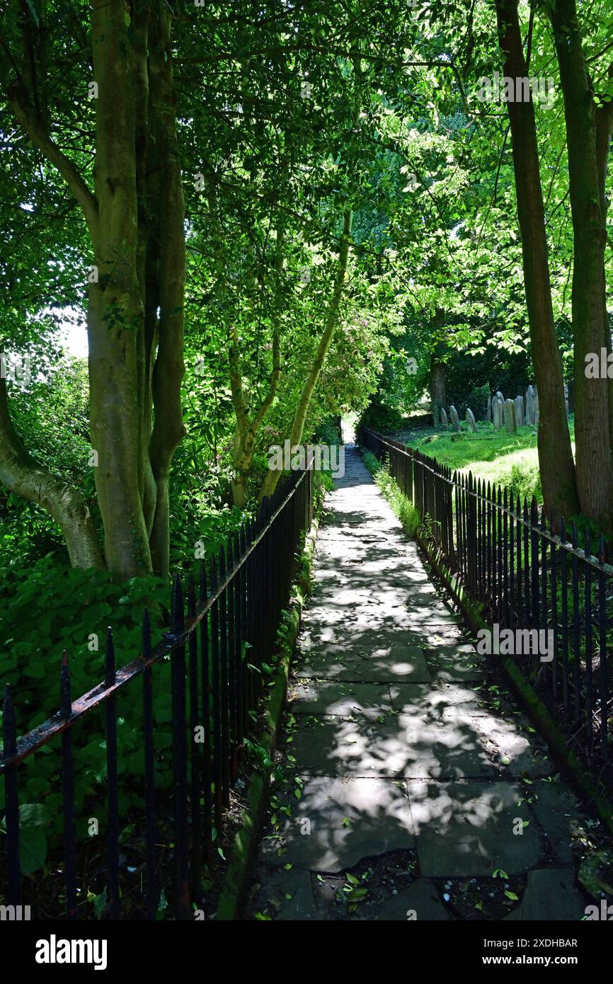 Tree lined pathway with metal railings in Haworth parsonage graveyard ...