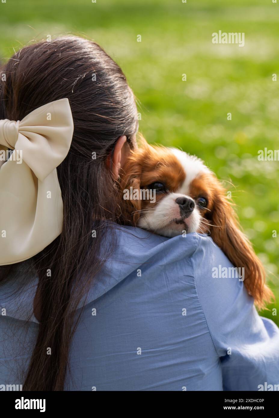 Cute woman hugging her beautiful dog Cavalier King Charles Cocker ...