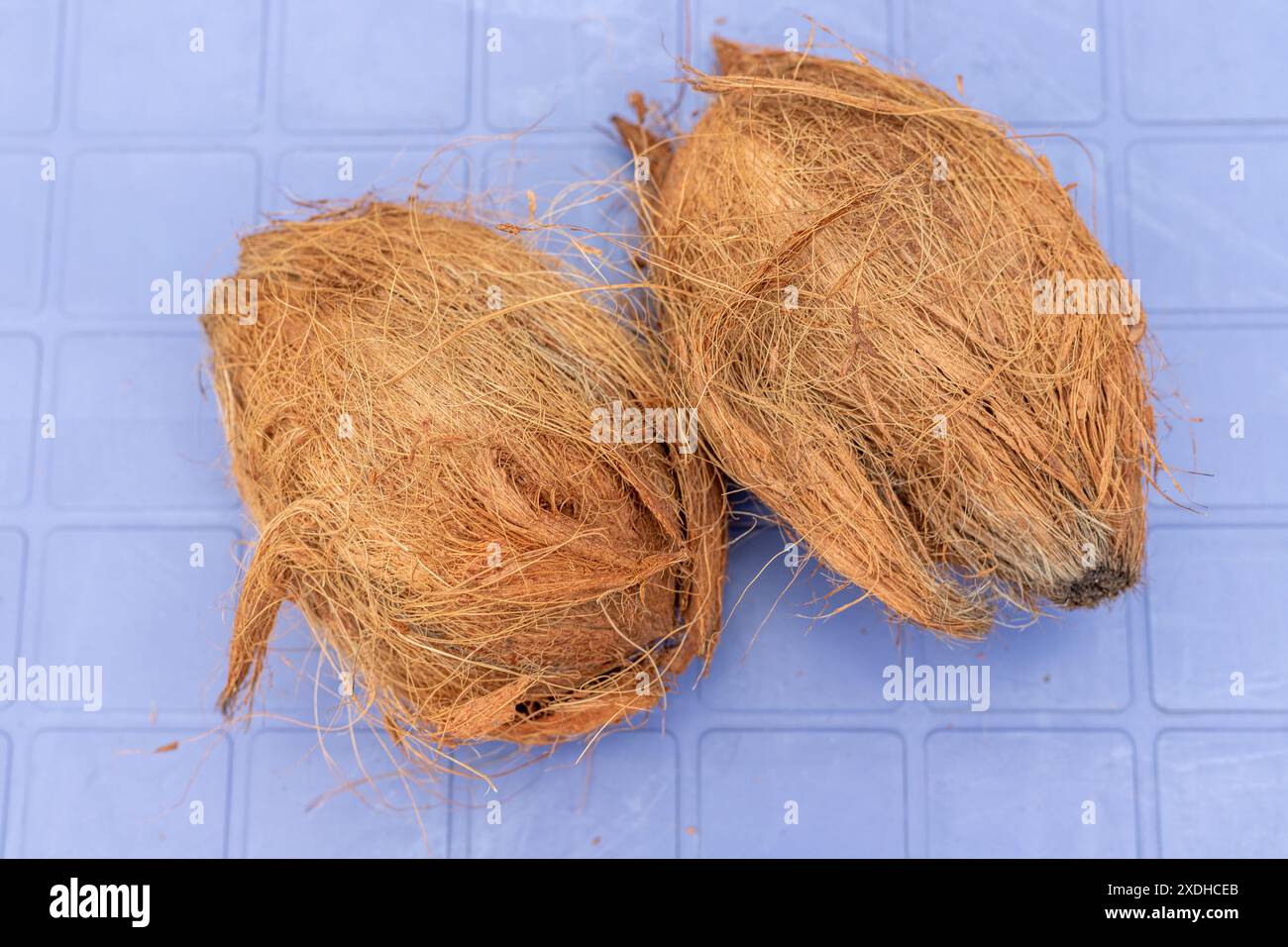 Two whole coconuts with shell. Top view Stock Photo - Alamy