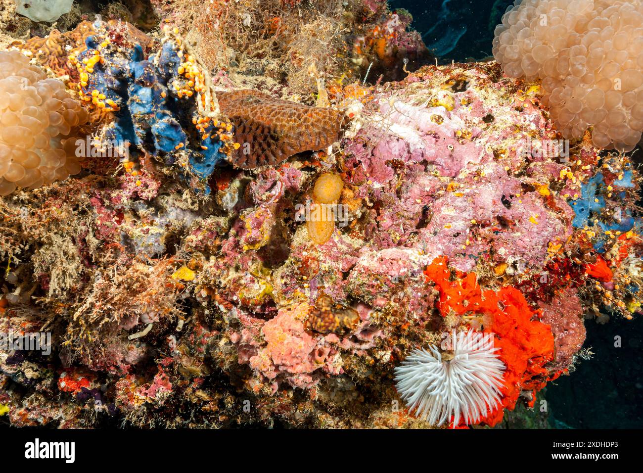 Nacala hi-res stock photography and images - Alamy