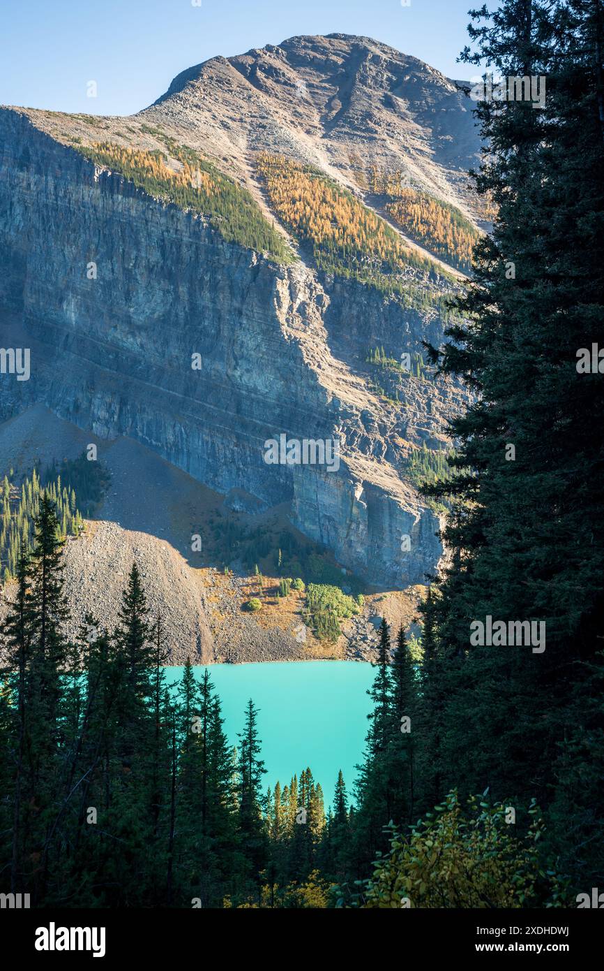 Looking out over Lake Louise. Banff National Park Landscape Photography ...