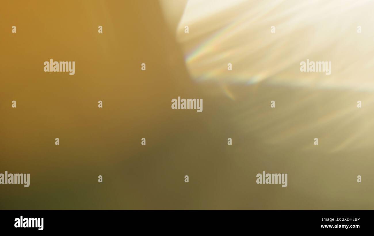 Real lens flare with strong sun backlight and light leaks , background ...