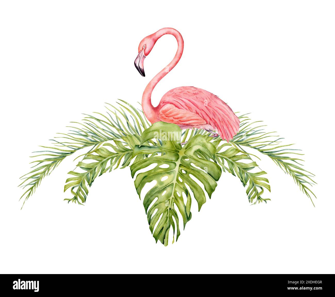 Pink flamingo bird with banana and palm tree branches with monstera ...