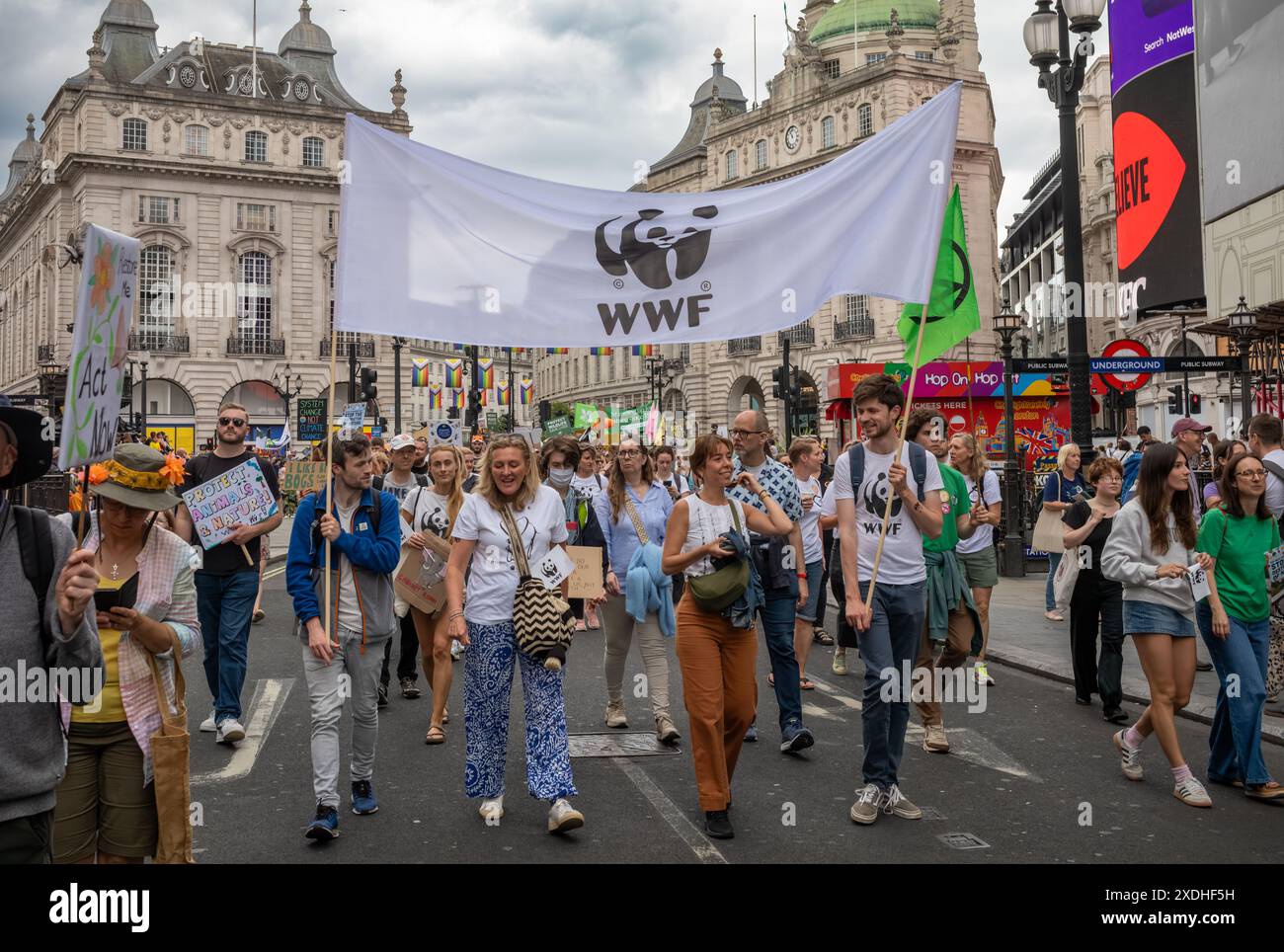 London / UK - Jun 22 2024: Activists from the WWF-UK protest at the ...