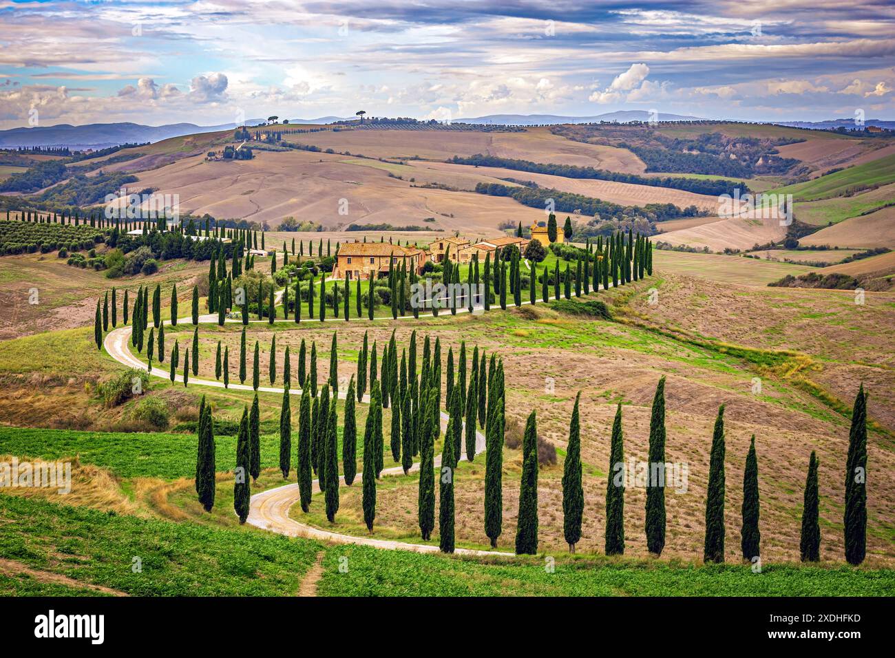 Tuscan scenery with cypress trees silhouette and winding road. Photo ...