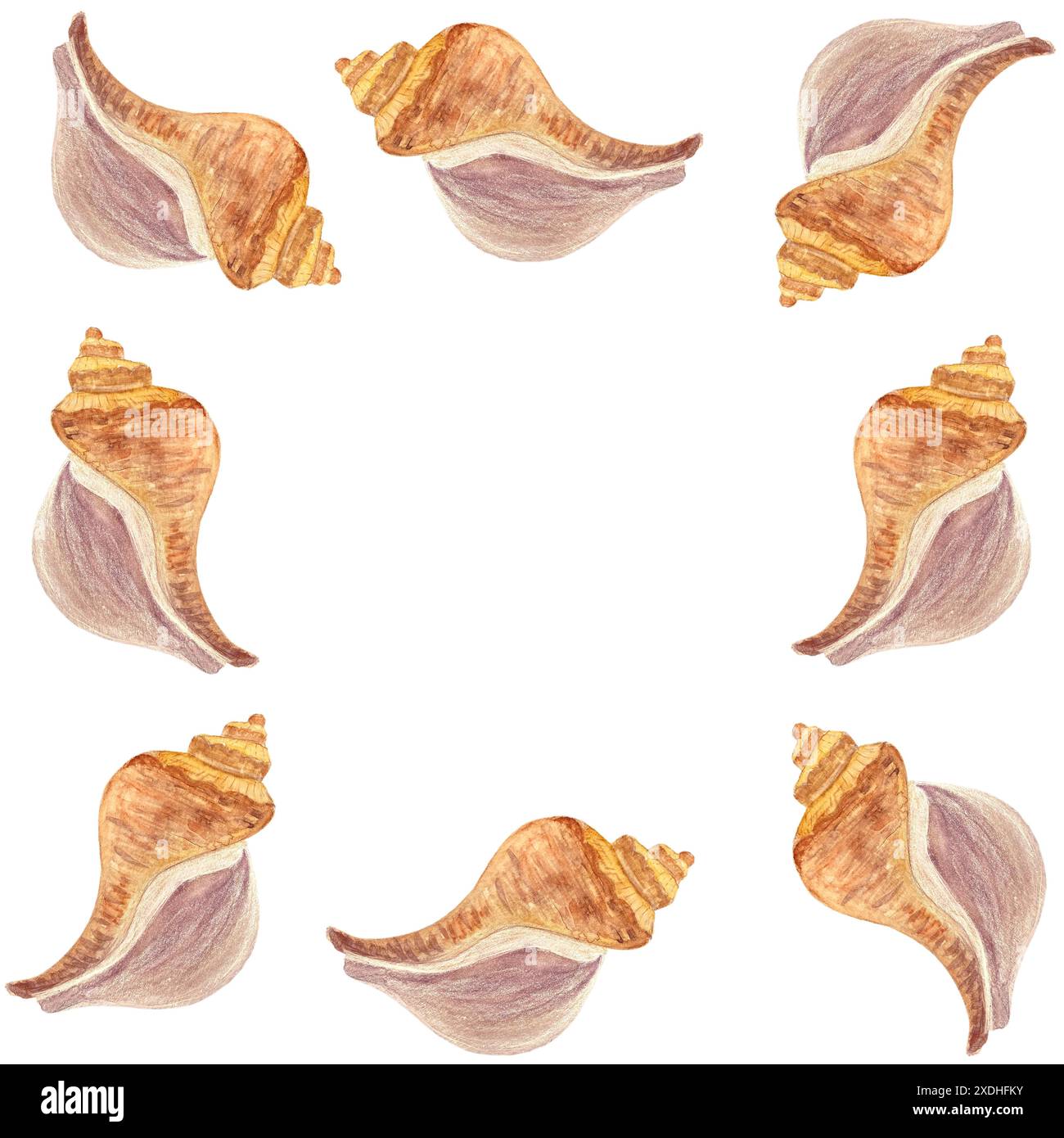 Shell frame in watercolor hand-drawn isolated on white. High quality ...