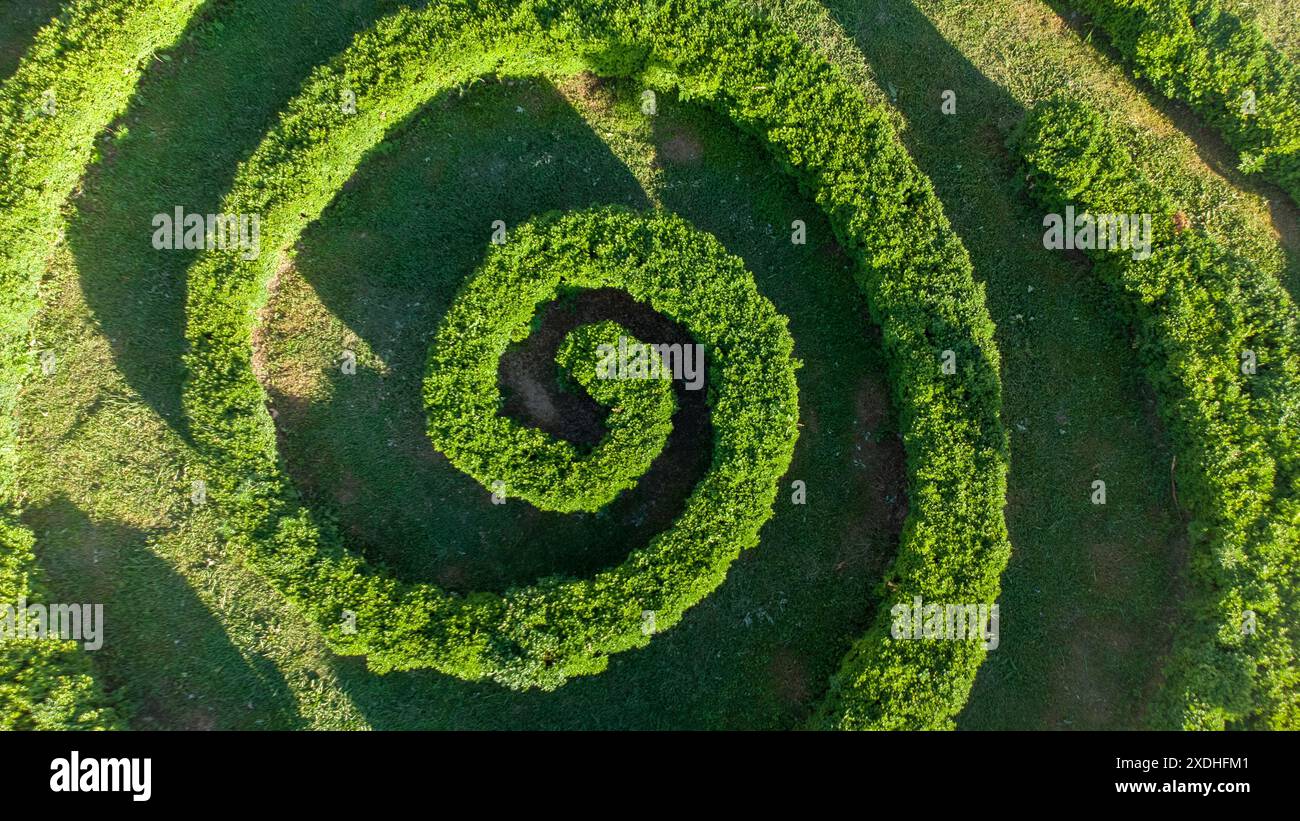 Dead end in the green maze. Landscape design in the city. Spiral maze ...