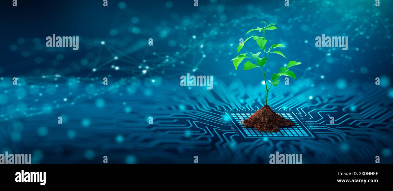 Tree with soil growing on the converging point of computer circuit ...