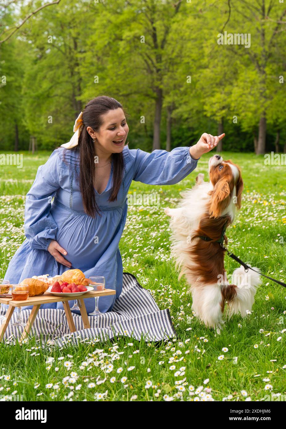 A happy pregnant woman rejoices while expecting her baby. Spends time ...