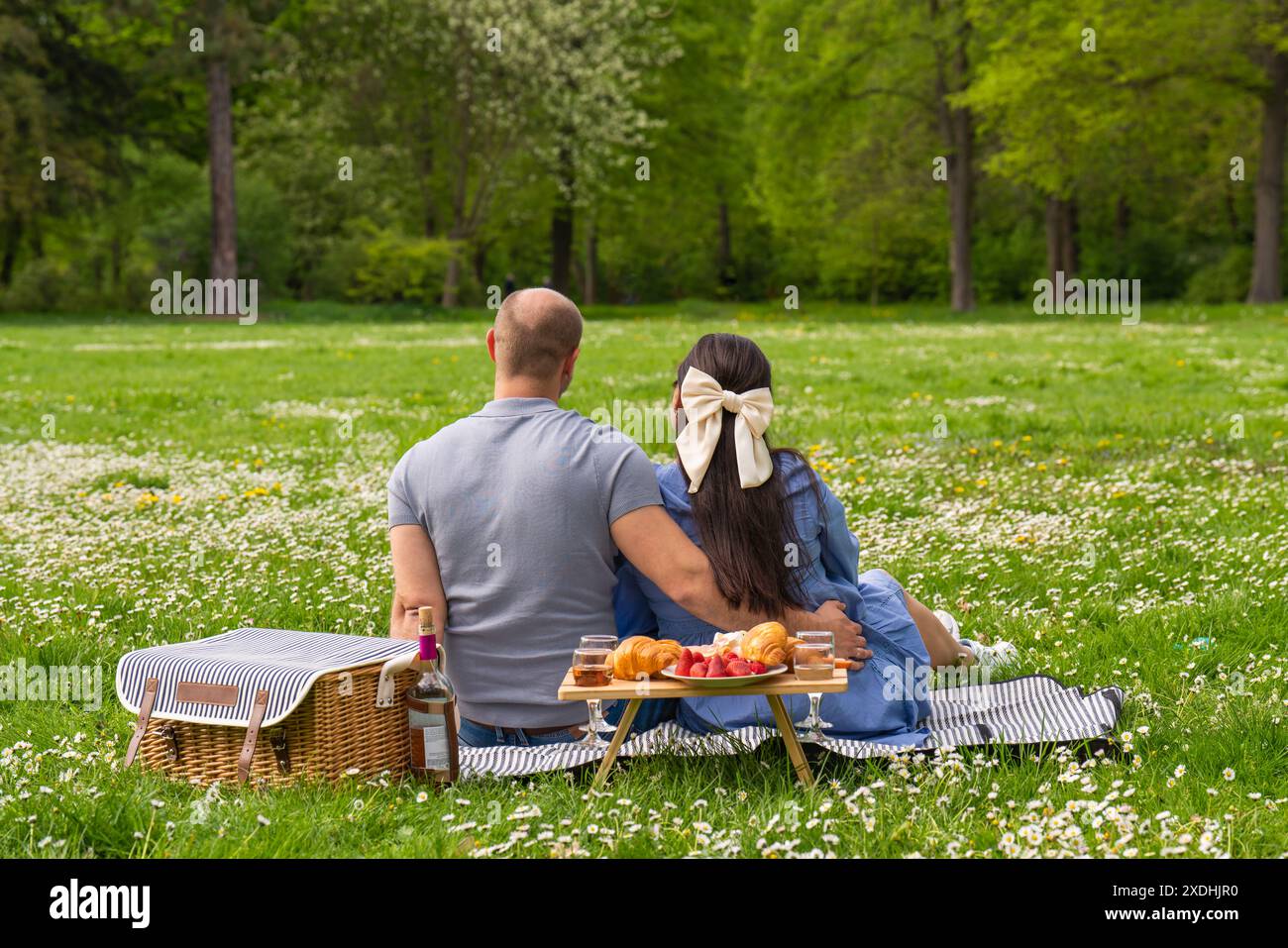 Happy pregnant couple spending time together on a picnic outdoors. Rear ...