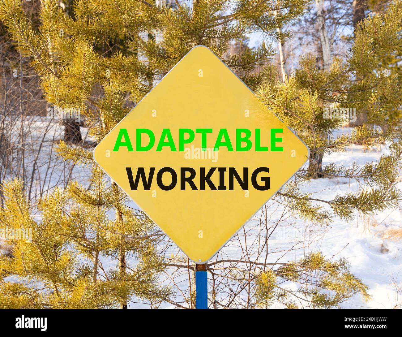 Adaptable working symbol. Concept words Adaptable working on beautiful ...