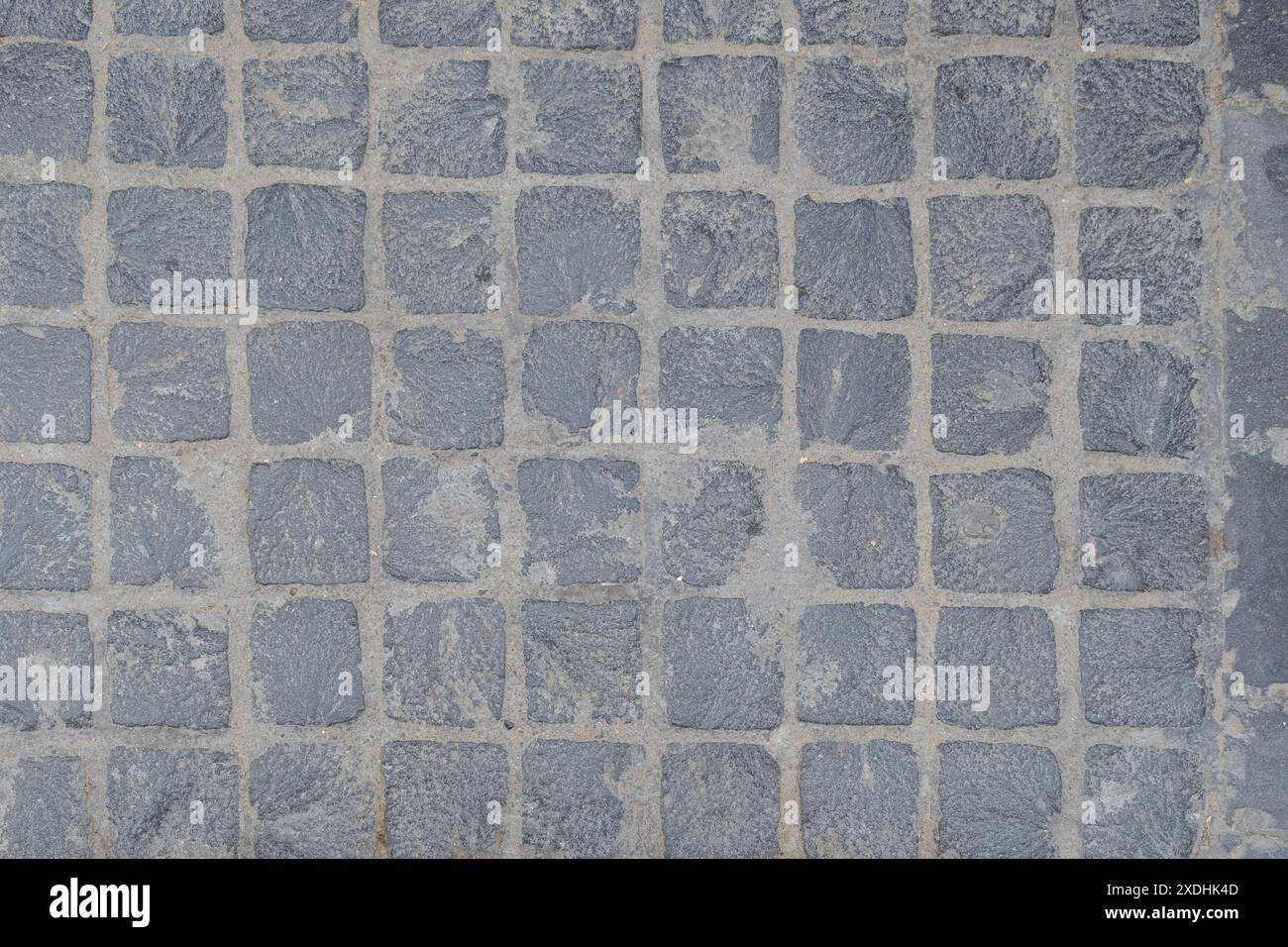 A close-up view of a cobblestone pavement, showcasing the uniform pattern and texture under flat ...