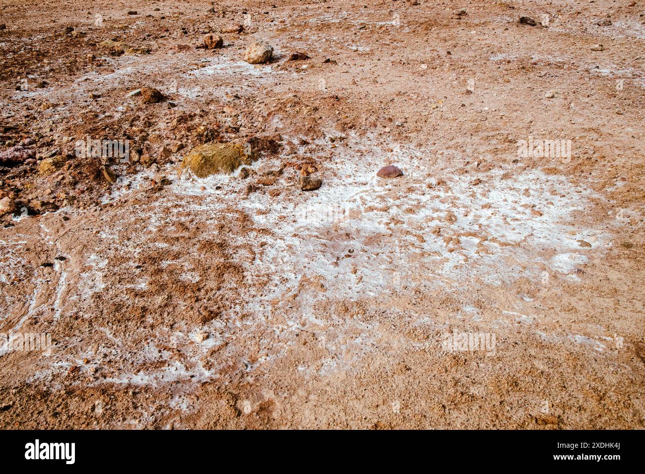 A close-up view of the saline desert soil, showcasing the intricate ...