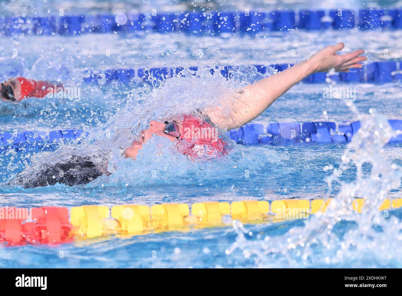 100M Backstroke - Finals Women during the Swimming Internationals - LX ...