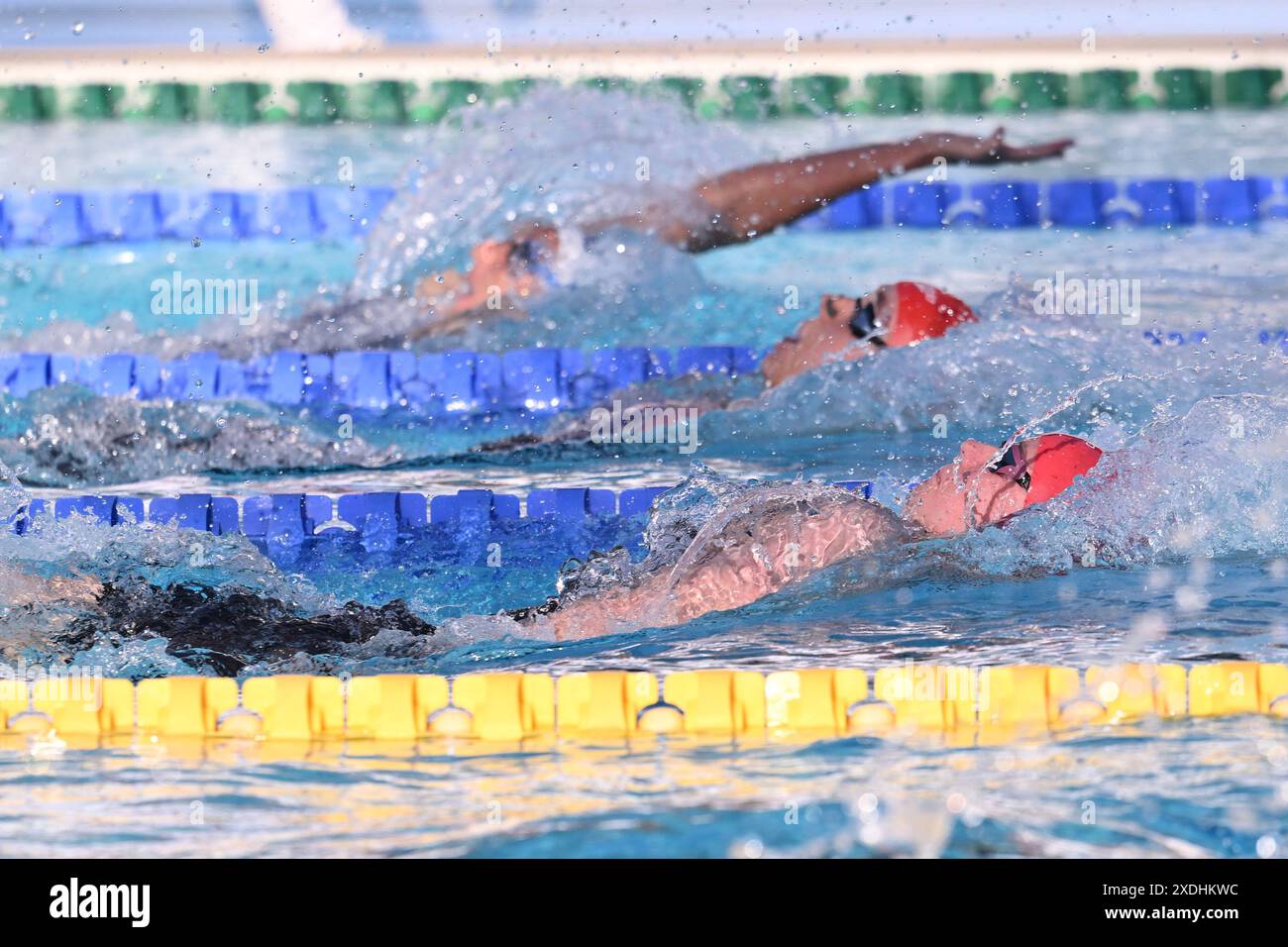 100M Backstroke - Finals Women during the Swimming Internationals - LX ...