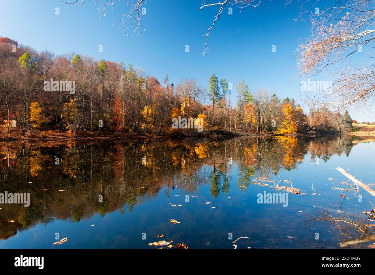 A lake within Tarrywile State park in Danbury Connecticut on a sunny ...