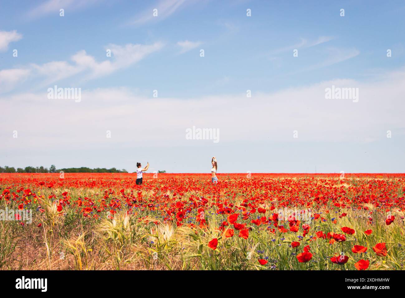 Two girls taking photo in poppy field. Tourists in poppy field. Happy ...