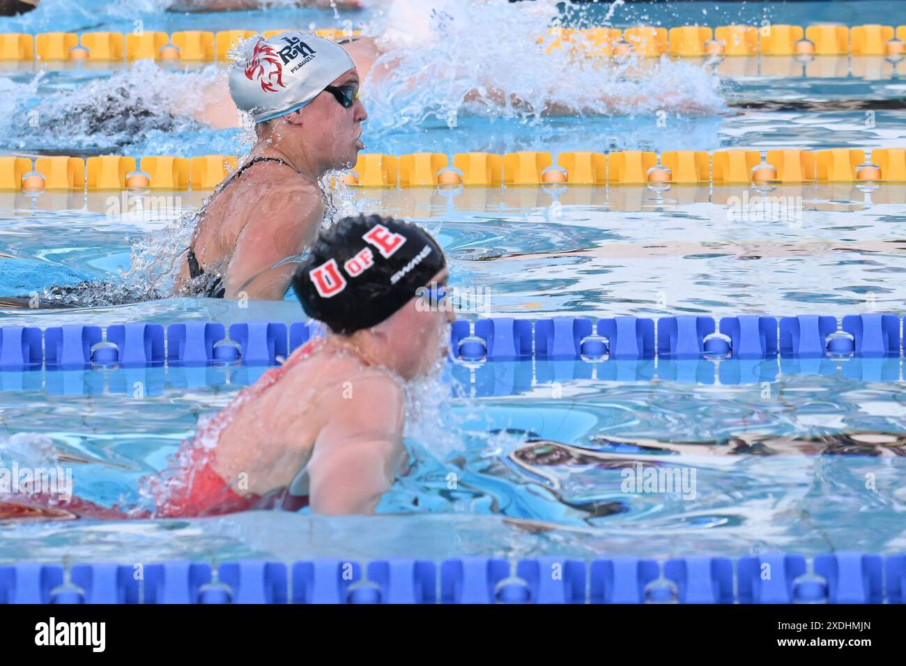 FANCELLO Erika 50M Breaststroke - Finals Women during the Swimming ...