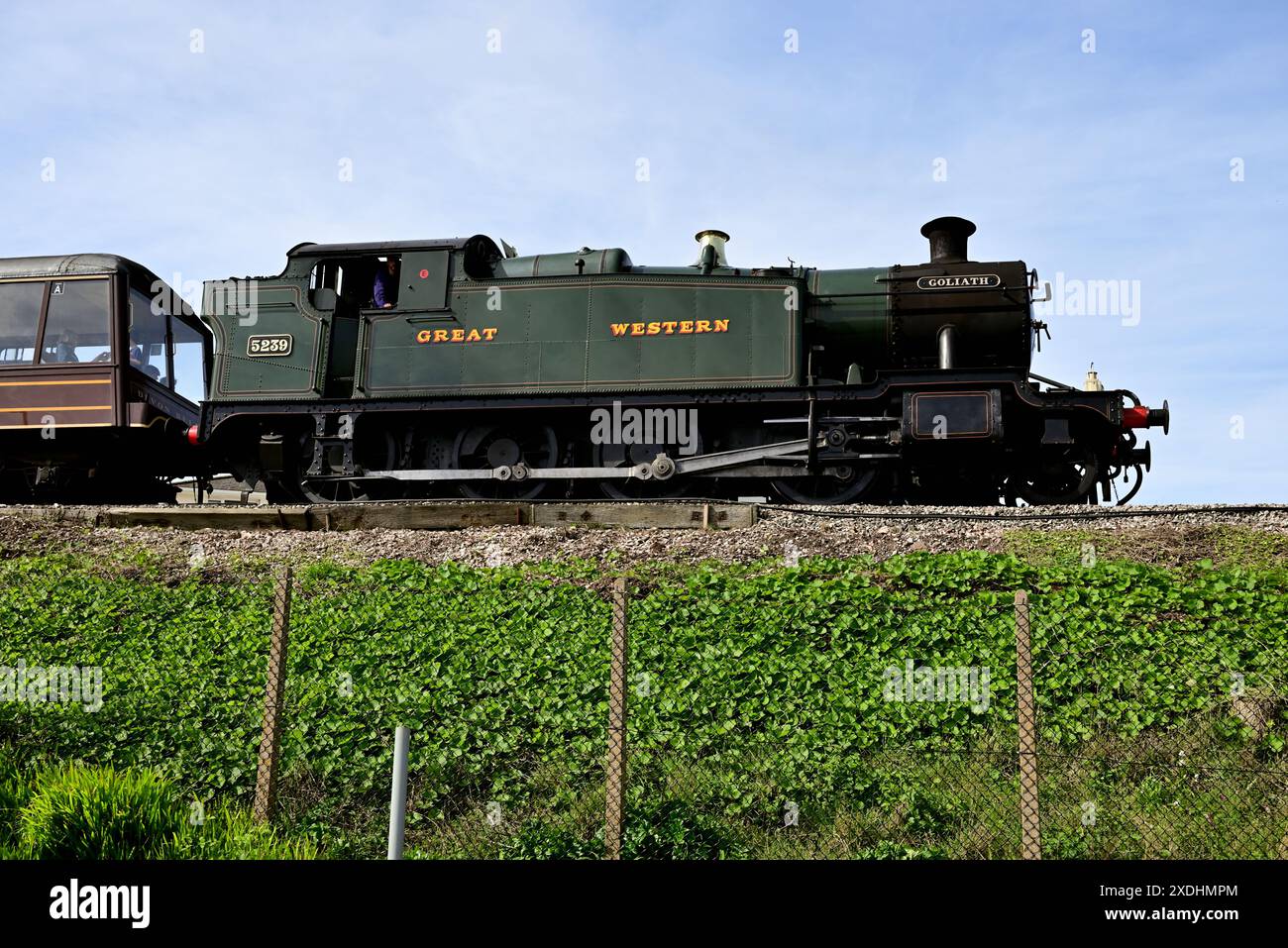 GWR 5205 class 2-8-0 tank locomotive No 5239 Goiliath passing ...