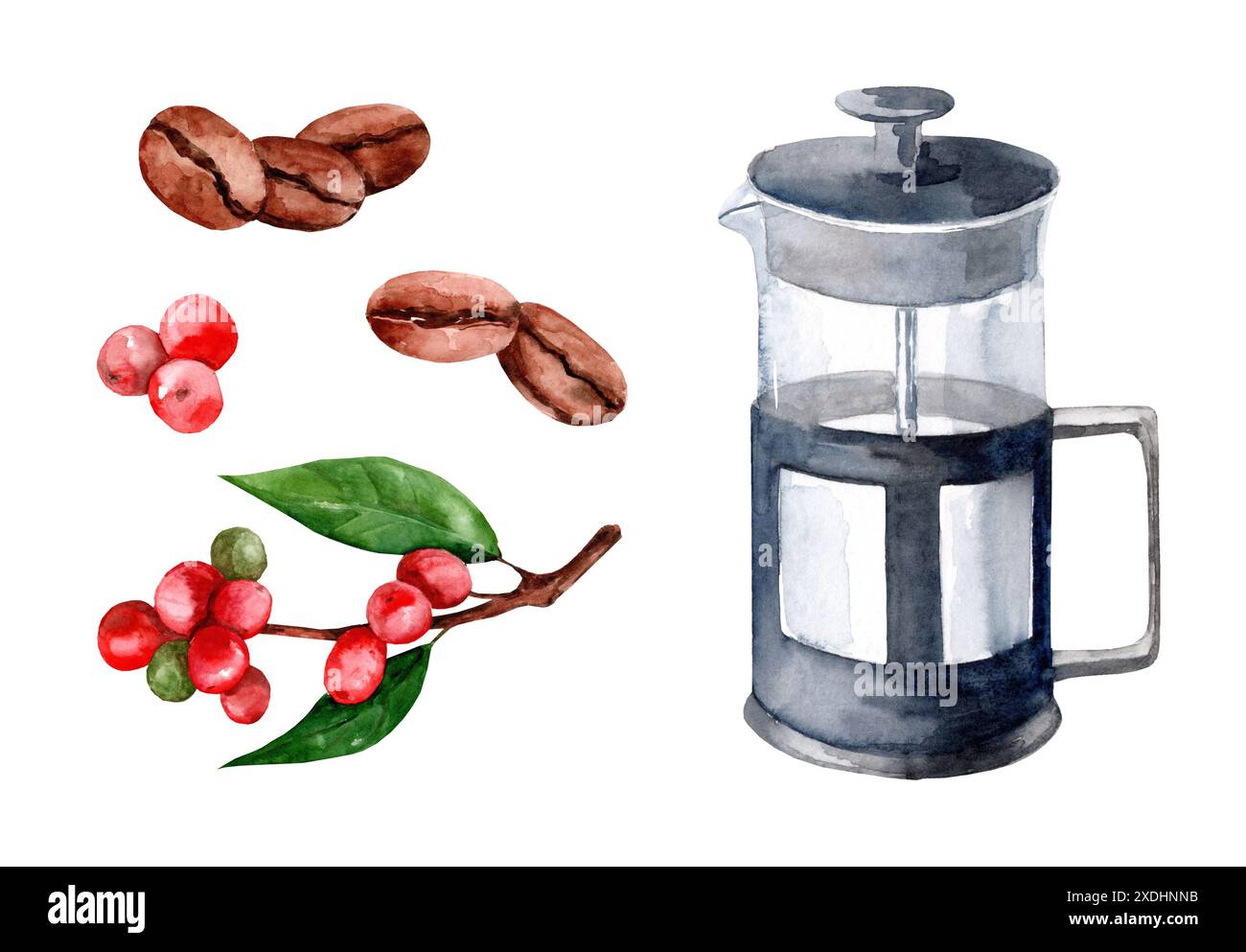 Watercolor hand painted coffee maker with coffee beans and flowers on a ...