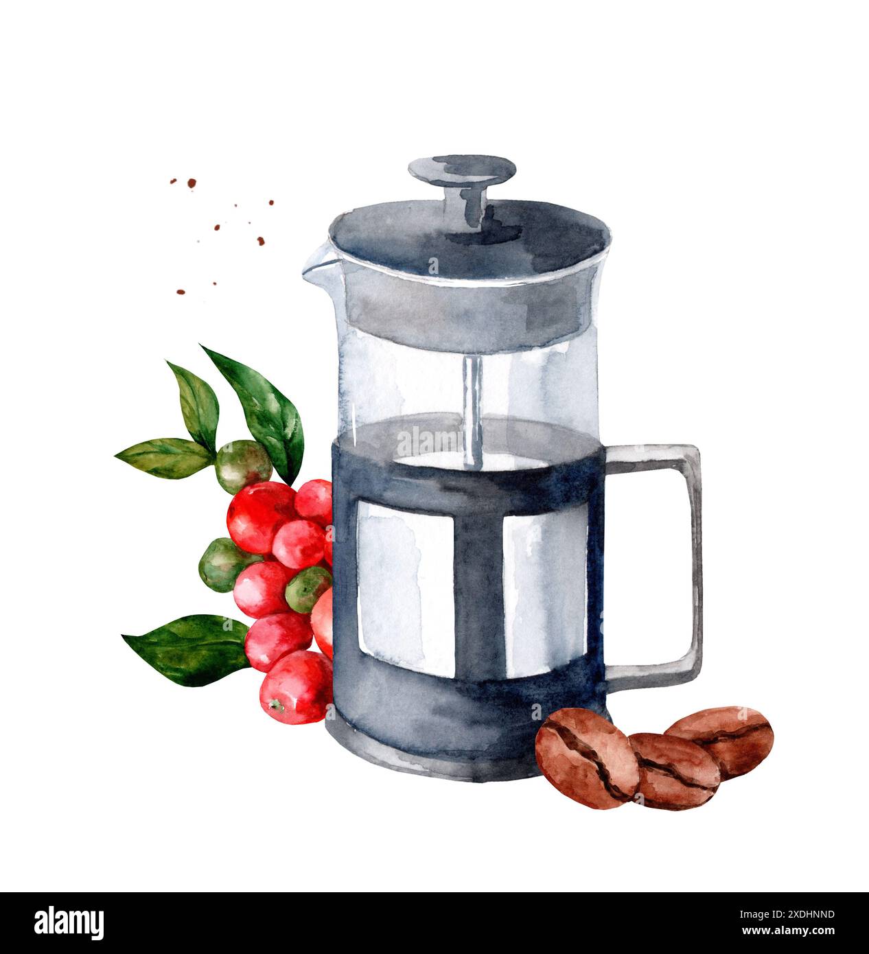 Watercolor hand painted coffee maker with coffee beans on a white ...
