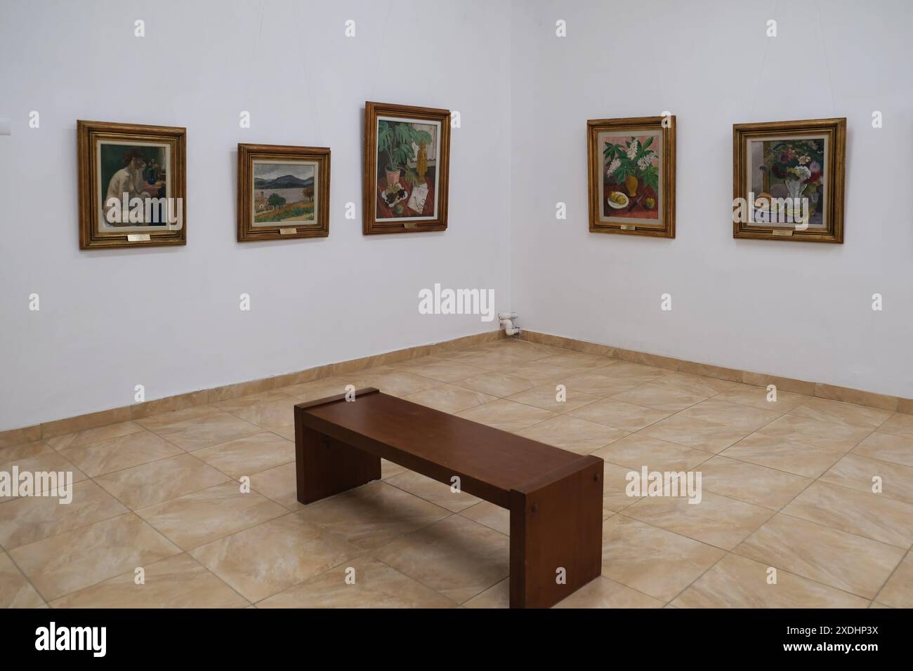 Interior of "Dinu and Sevasta Vintila" art museum, in Topalu, Constanta ...