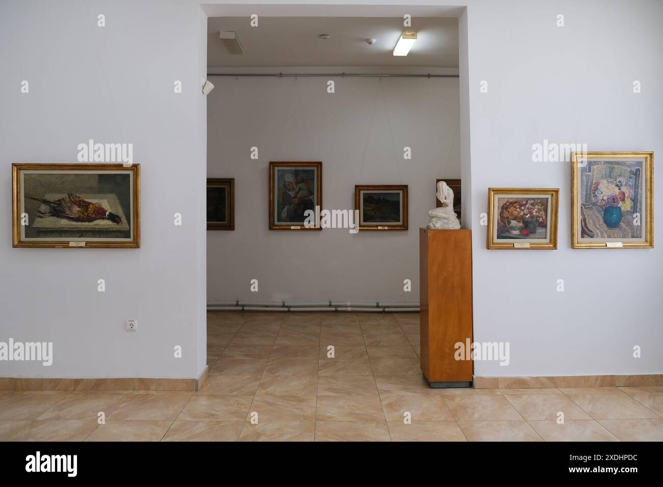 Interior of "Dinu and Sevasta Vintila" art museum, in Topalu, Constanta ...