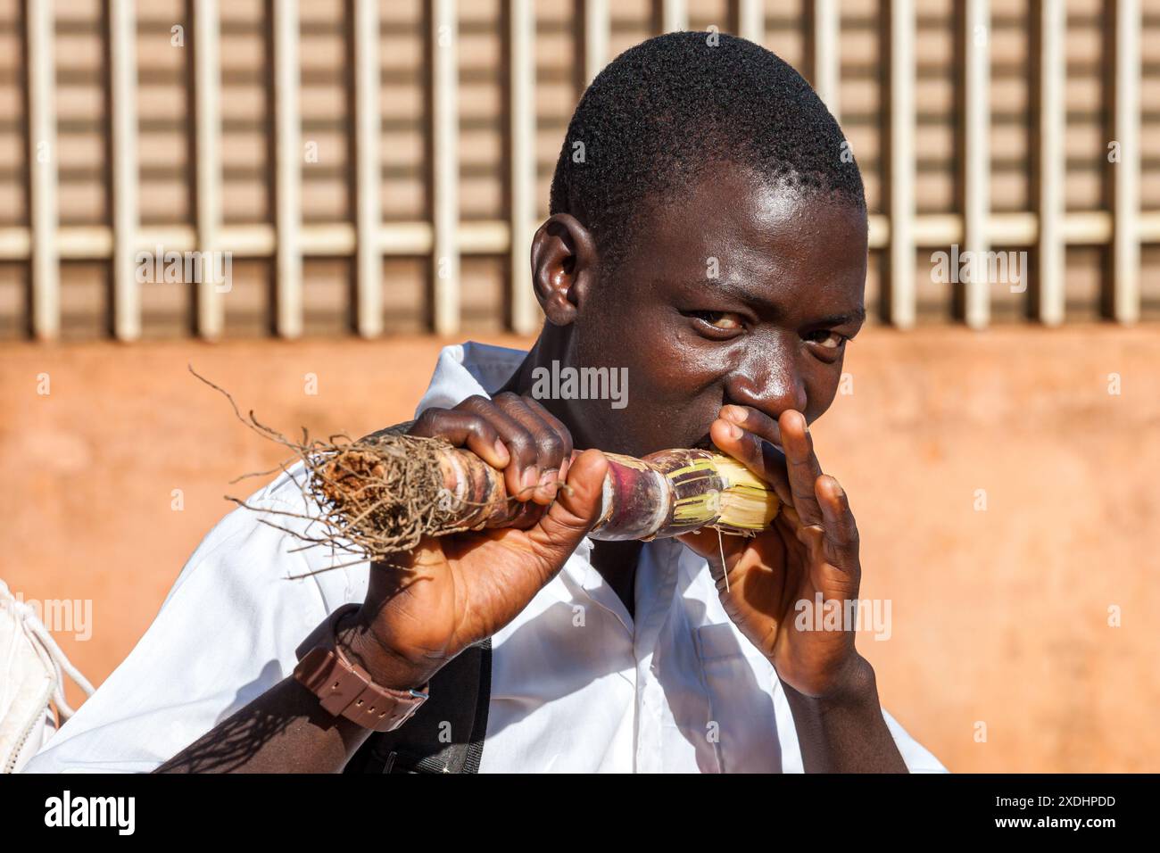 Mozambique, Niassa, Lichinga, Portrait of young man eating sugar cane ...