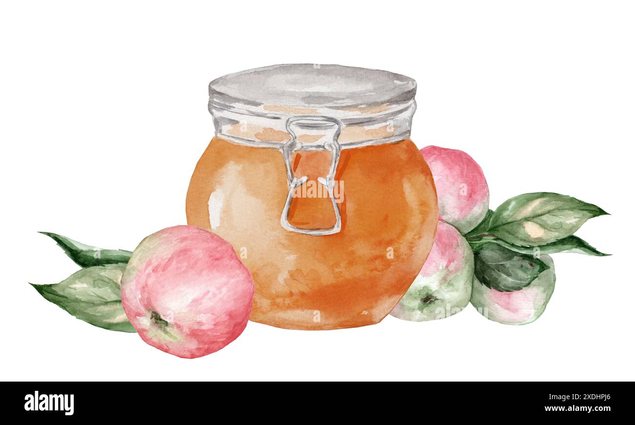 Glass jar of apple jam with fresh red apples. Watercolor hand drawn ...