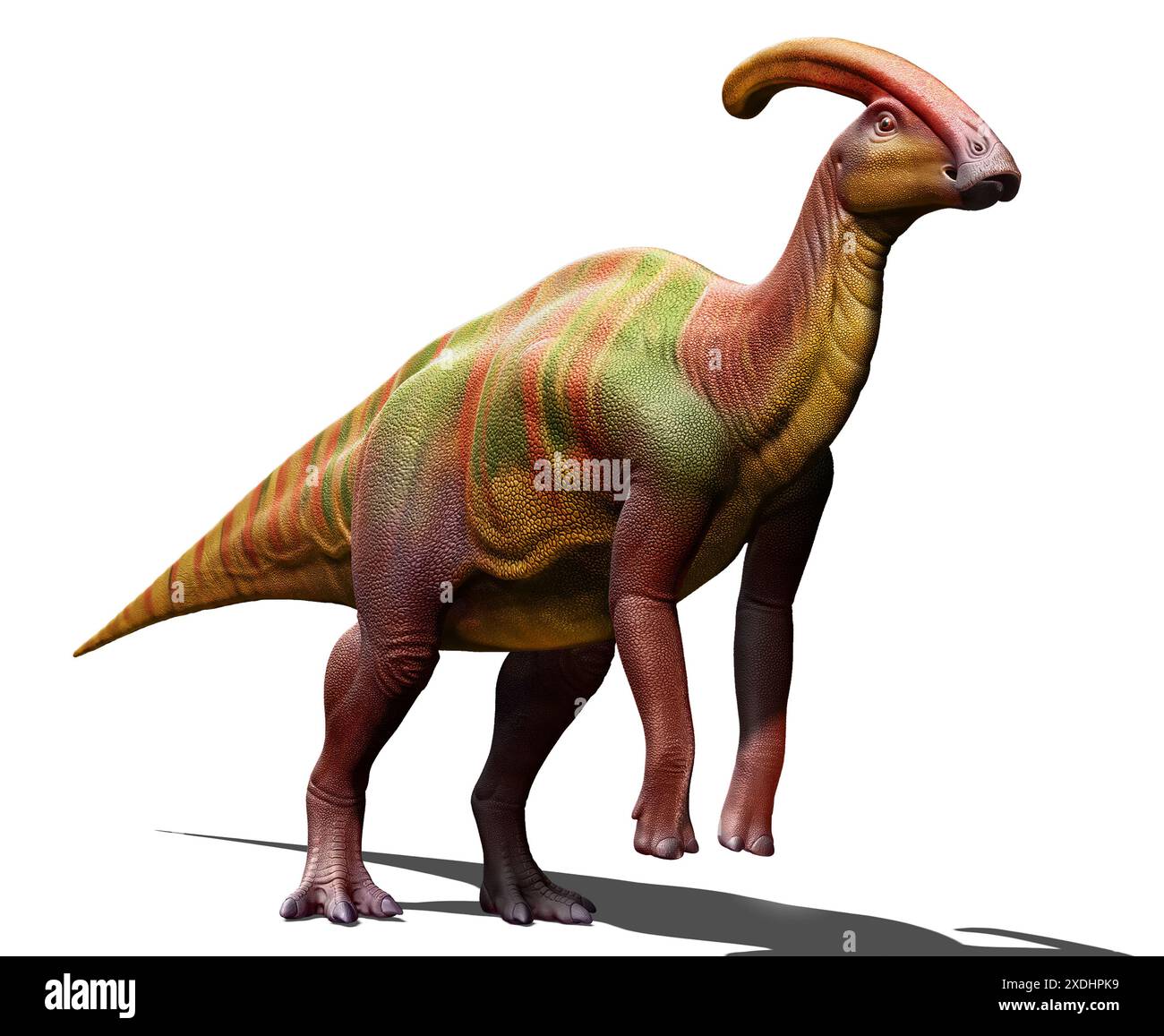 Charonosaurus is a very large lambeosaurine hadrosaur Stock Photo - Alamy