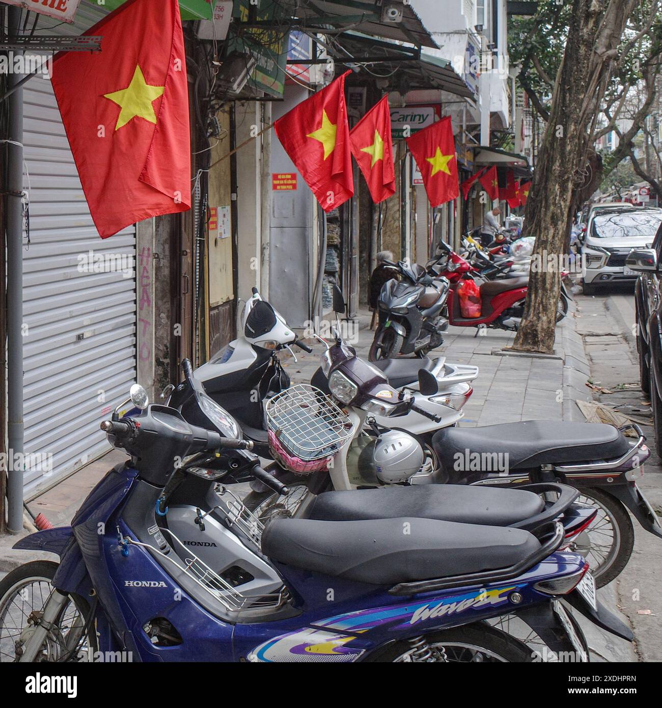 Hanoi, Vietnam - 9 Feb, 2024: Motor scooters lined up under Vietnam ...