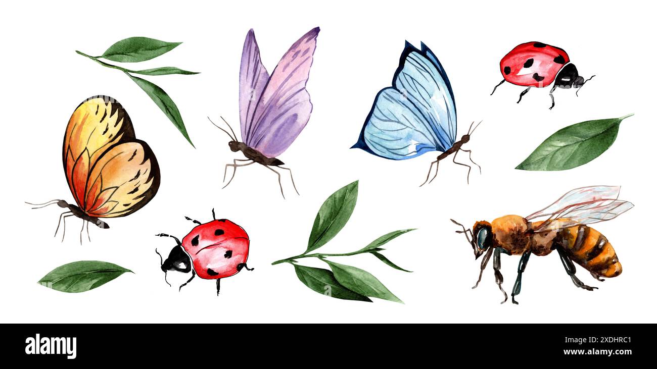 Set of insects watercolor illustration isolated on white background ...