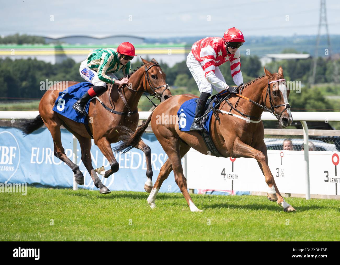 The rat pack hi-res stock photography and images - Alamy