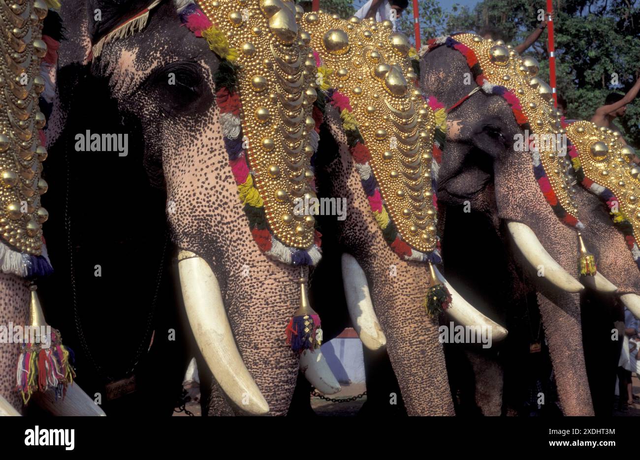 Trichur hi-res stock photography and images - Alamy