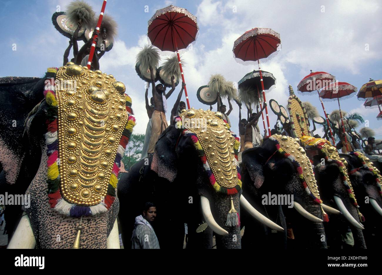 Farmers with their Elephants at the traditional Pooram or Elephant ...