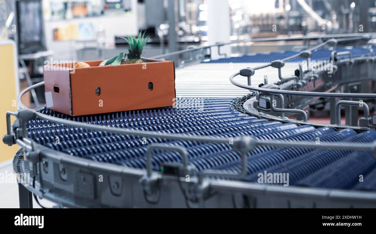 Package of fruits on conveyor. Packing fruits in box container in ...