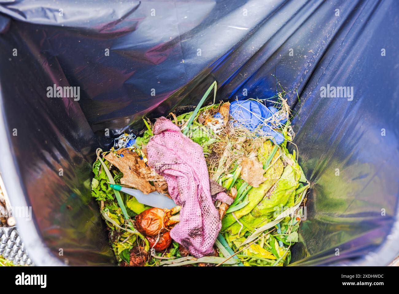 Close-up view of open lid of plastic trash container with garbage in ...