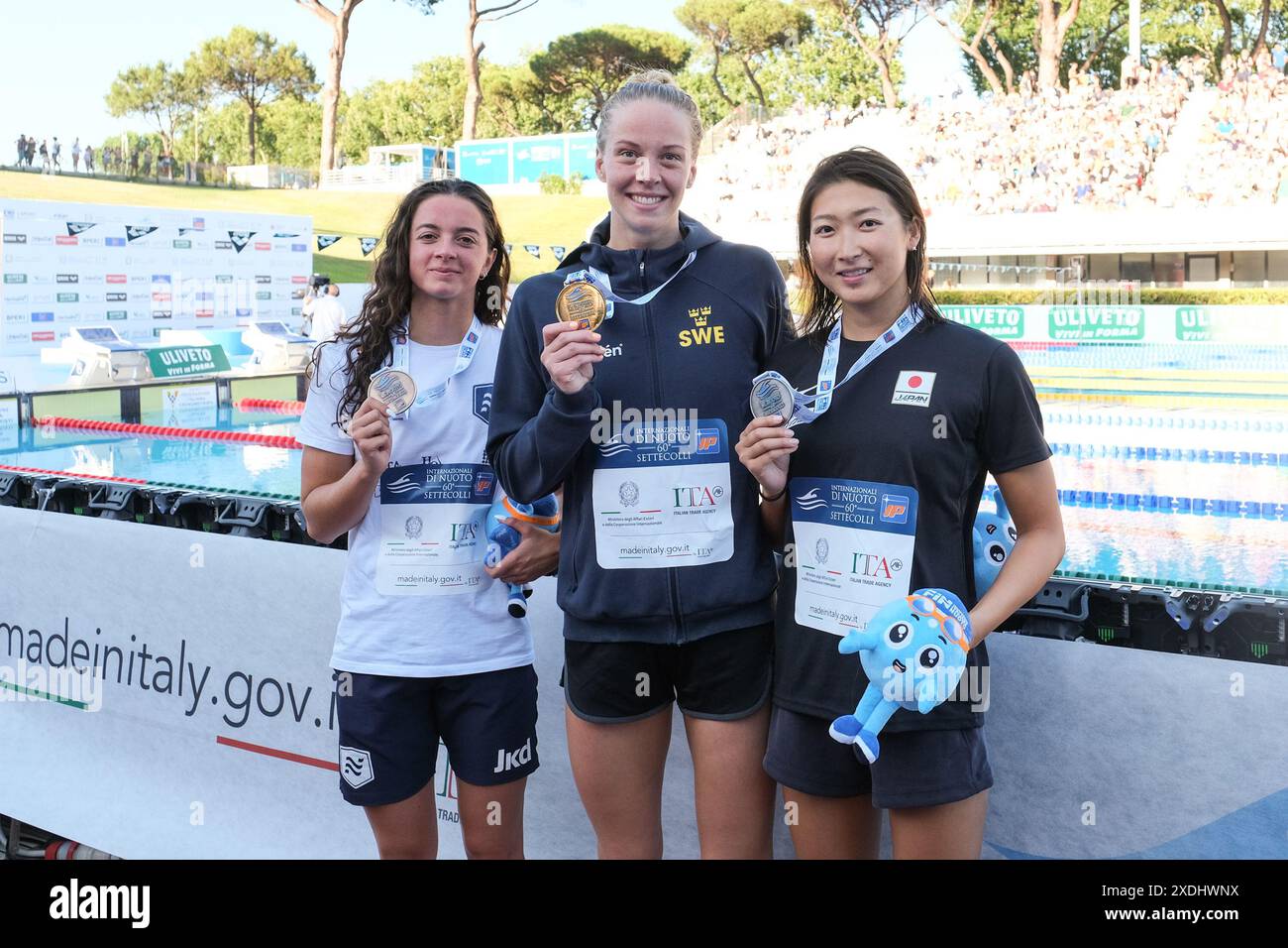 Viola scotto di carlo hi-res stock photography and images - Alamy