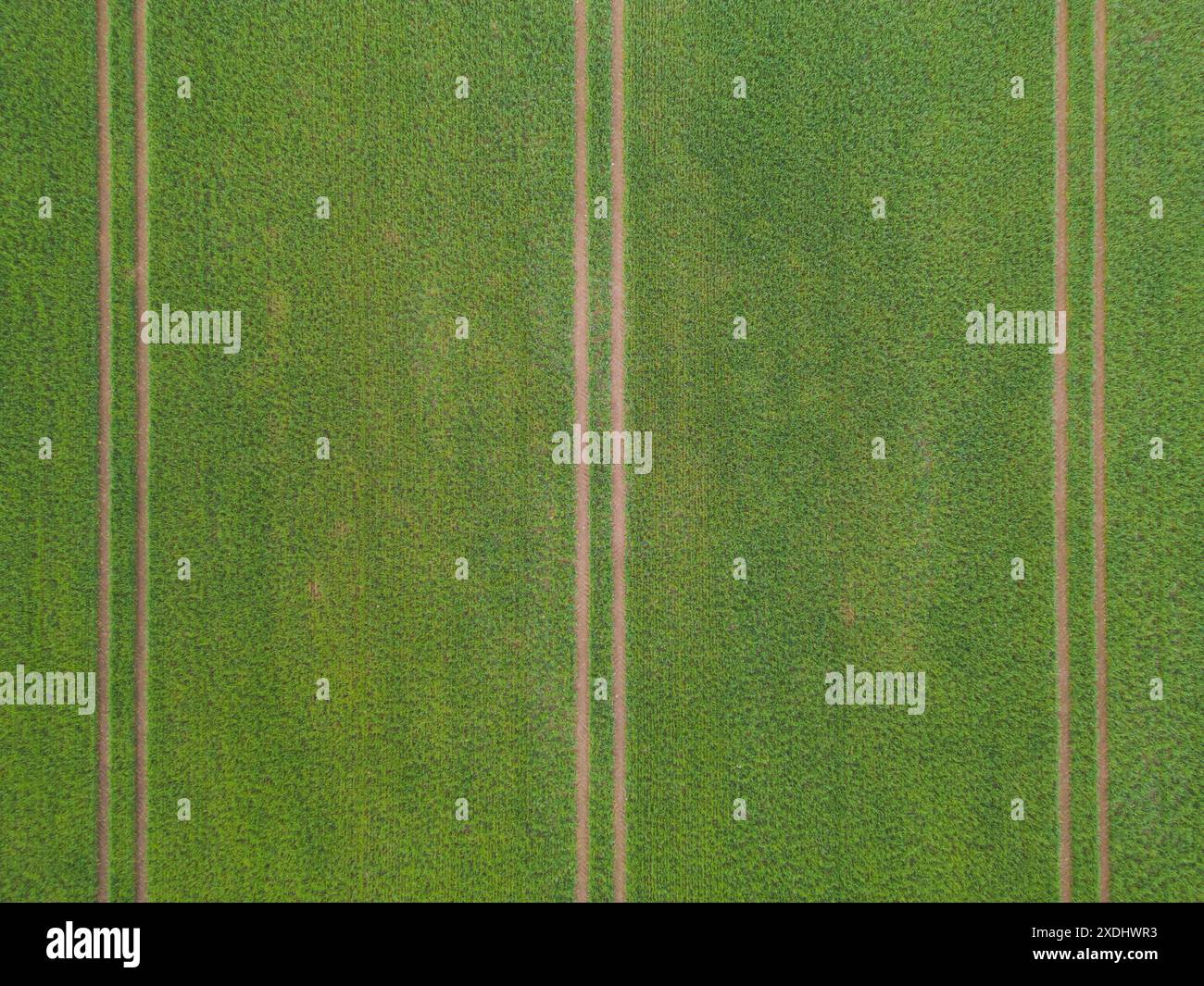 Sevem fold hi-res stock photography and images - Alamy