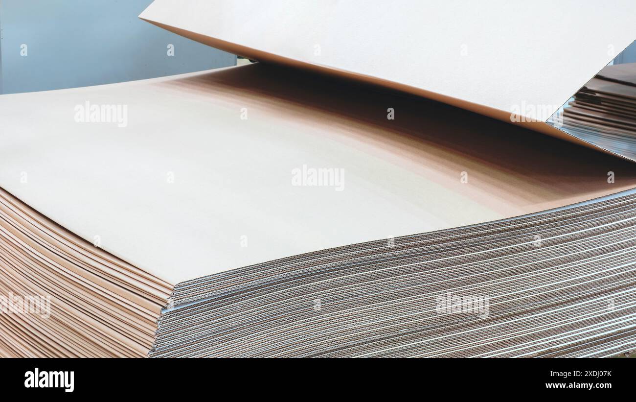 Elements of corton boxes are collected in stack. Conveyor line for the ...