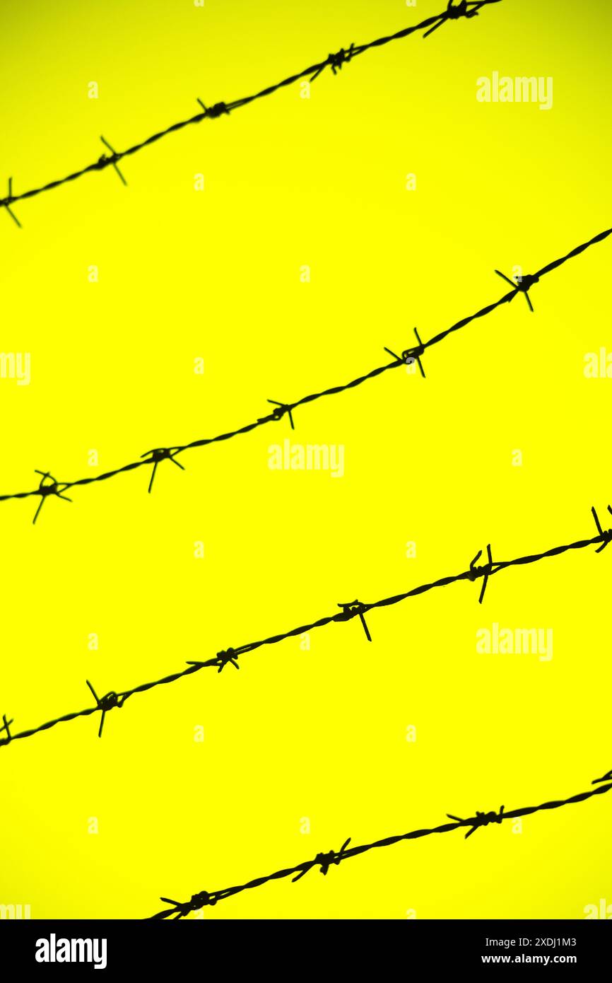 Barbed Wire Silhouette Against Yellow Background, Bari, Italy, 2023 ...