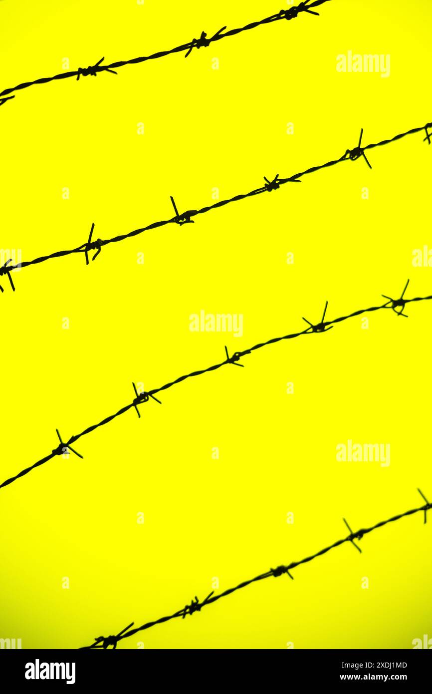 Barbed Wire Silhouette Against Yellow Background, Bari, Italy, 2023 ...