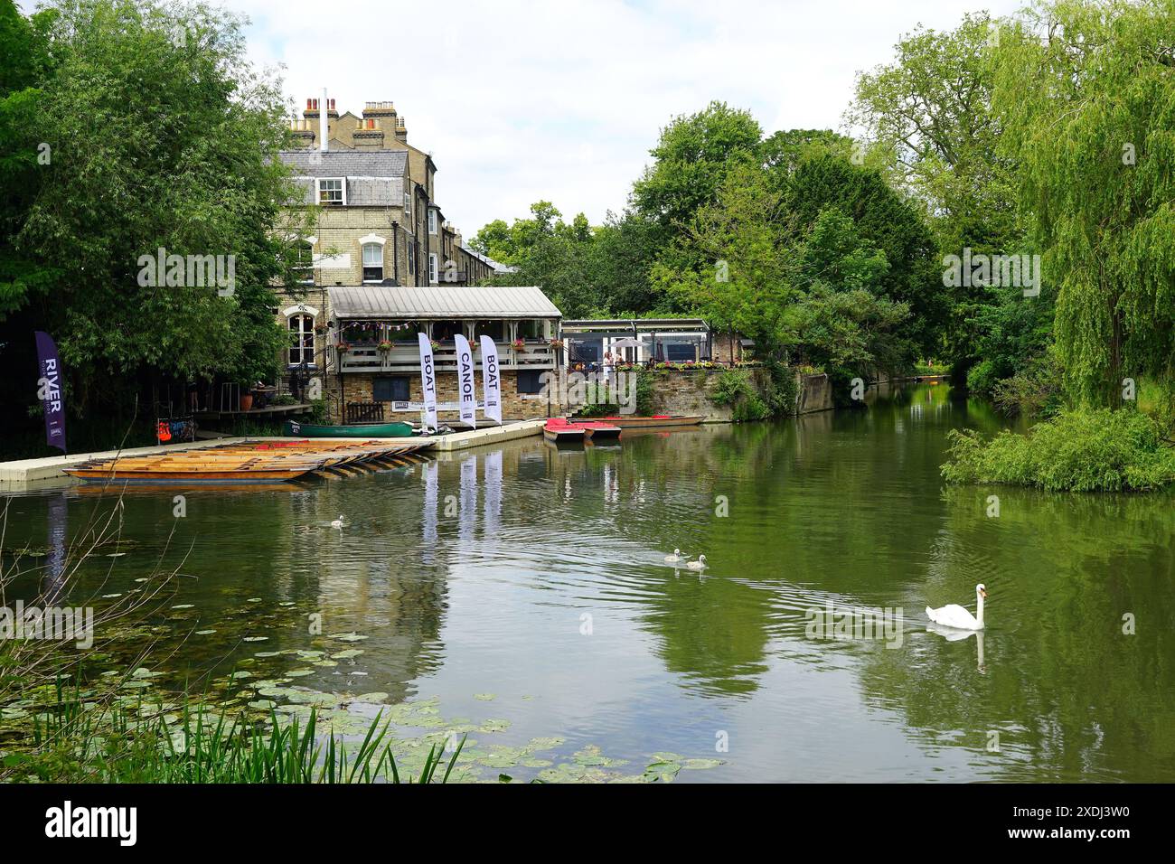 Punt hire on the River Cam Stock Photo - Alamy