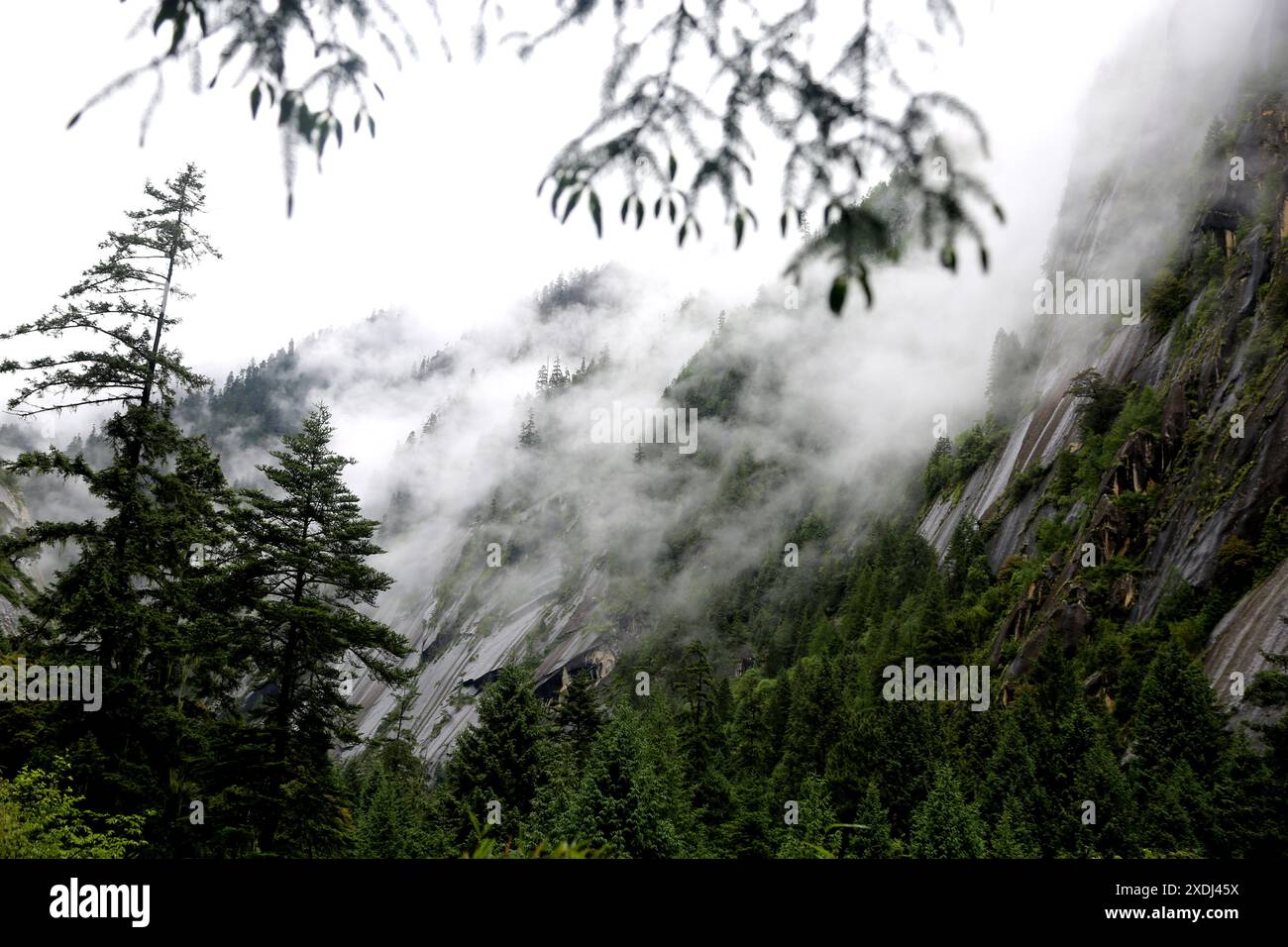 Kading ditch hi-res stock photography and images - Alamy