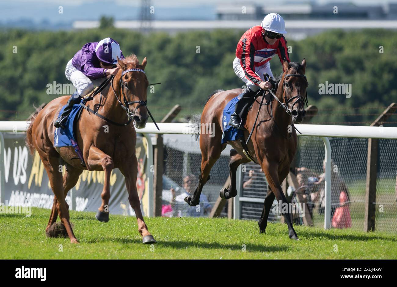 Forceful speed horse hi-res stock photography and images - Alamy
