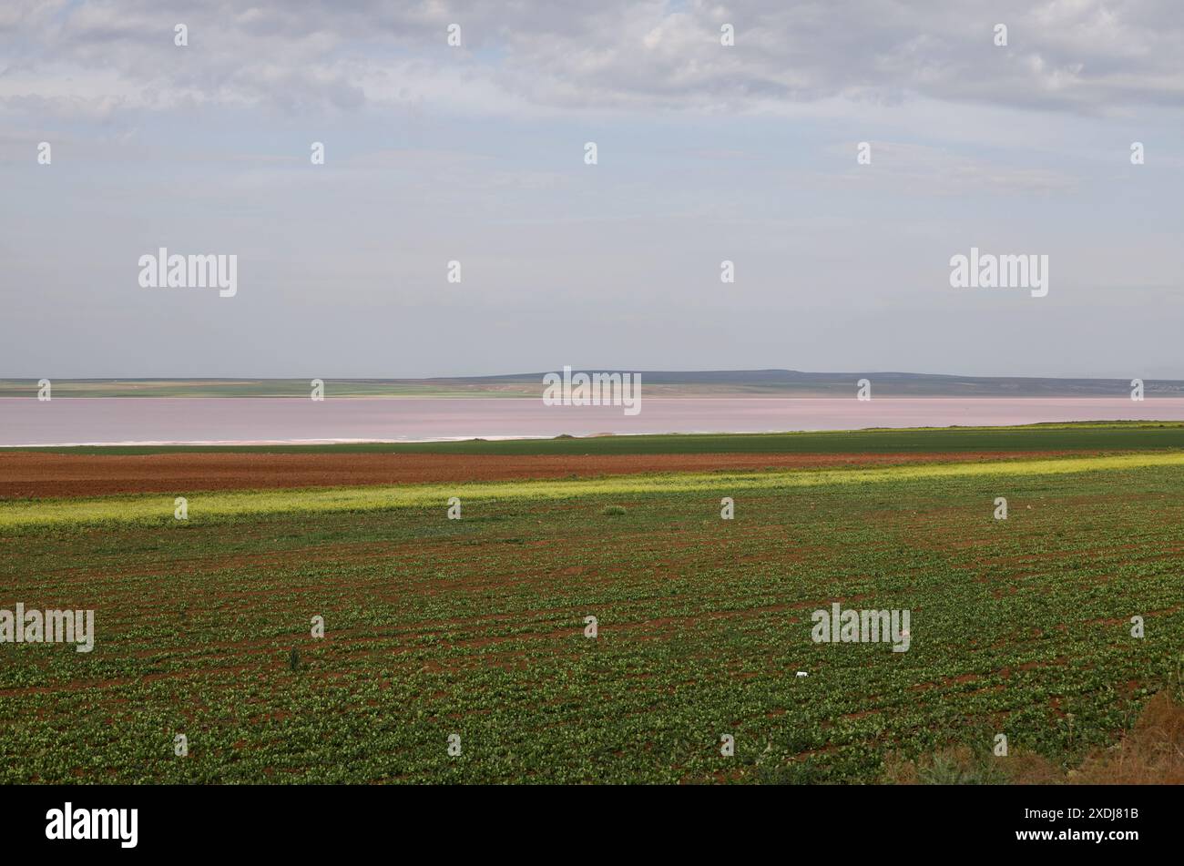 The beautiful colors of the Tuz Golu salt lake, Turkey Stock Photo - Alamy
