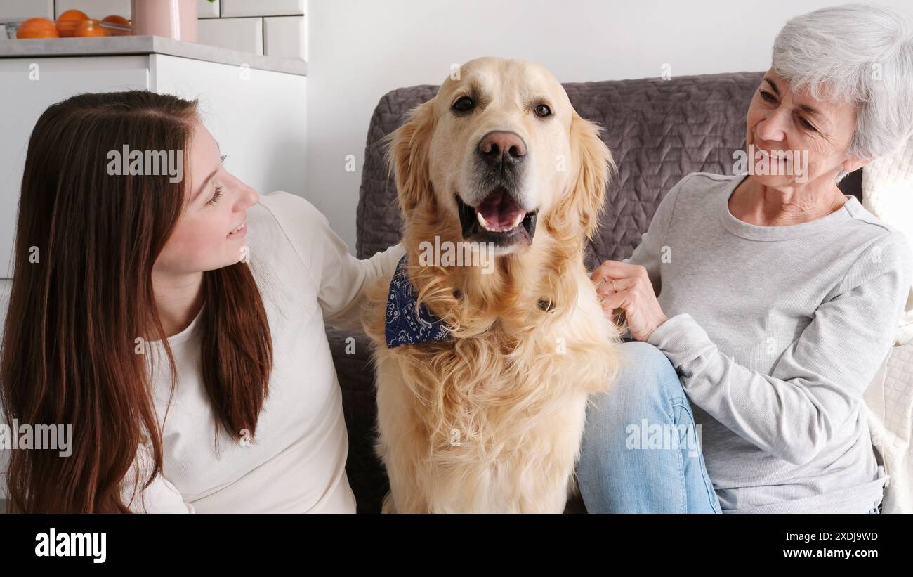 Old Lady With Her Granddaughter Softly Petting A Cute Golden Retriever ...